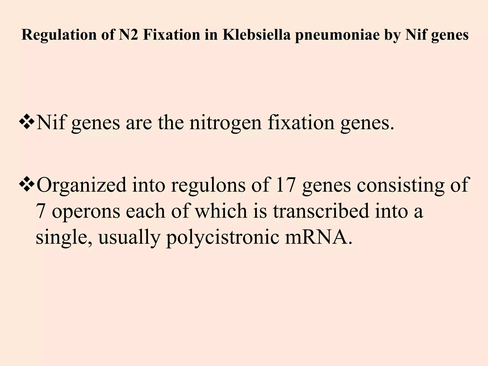NITROGENASE ENZYME.pptx