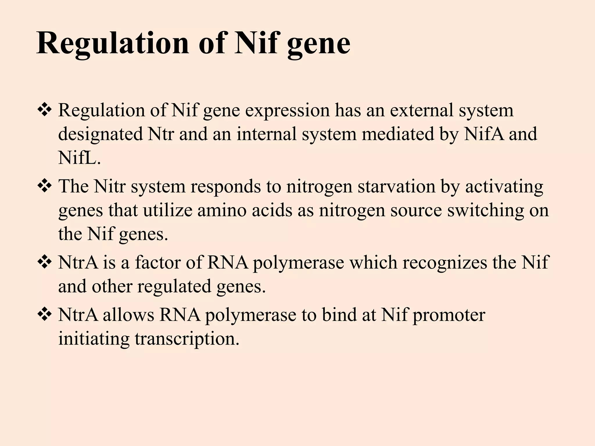 NITROGENASE ENZYME.pptx