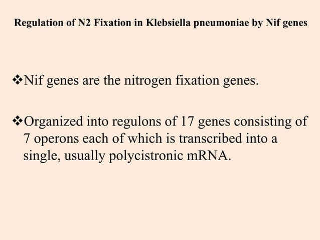 NITROGENASE ENZYME.pptx