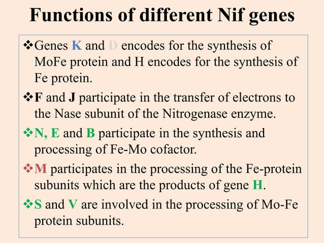 NITROGENASE ENZYME.pptx