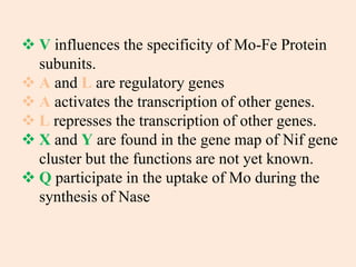 NITROGENASE ENZYME.pptx