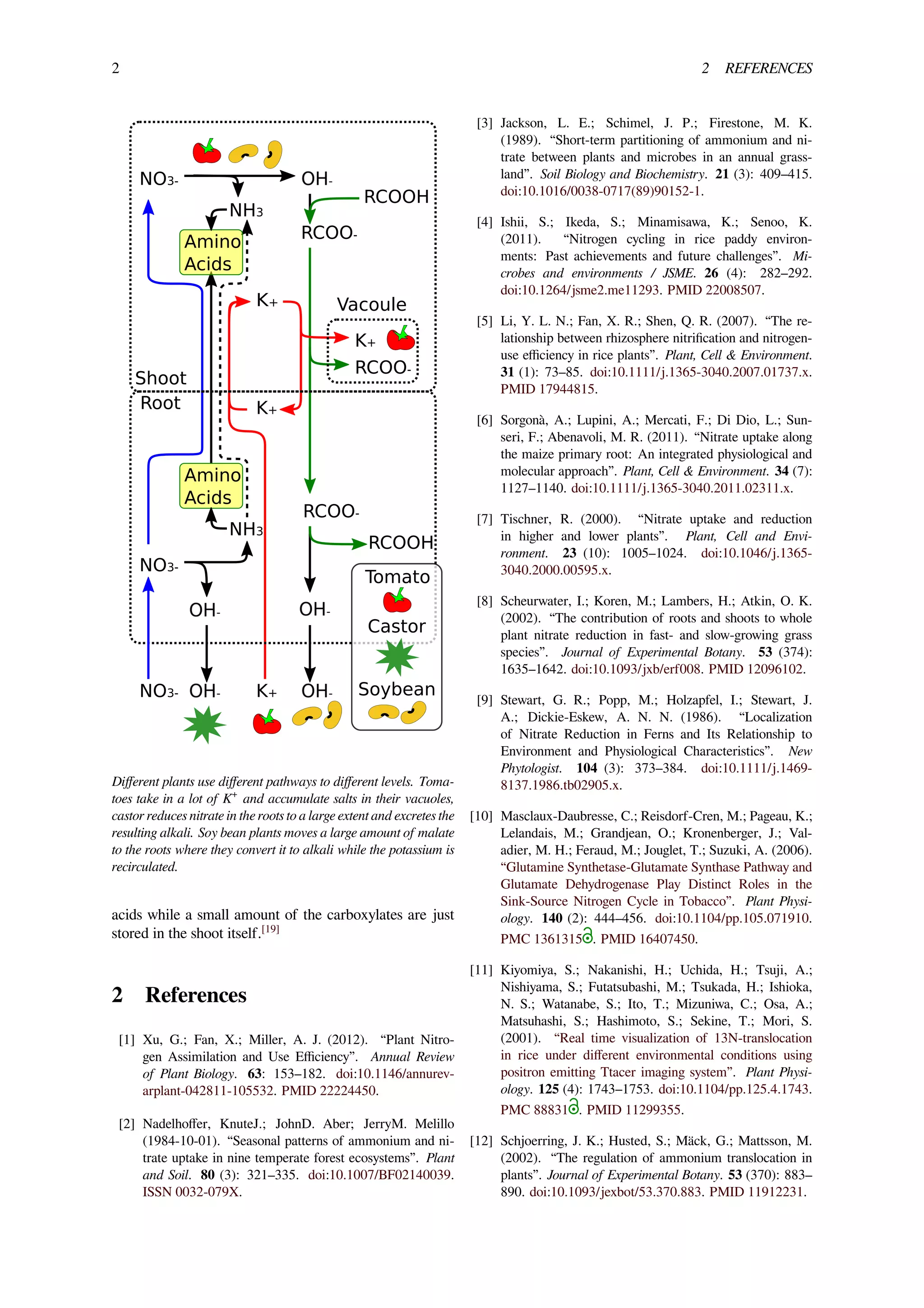 Nitrogen assimilation | PDF | Agriculture | Industries
