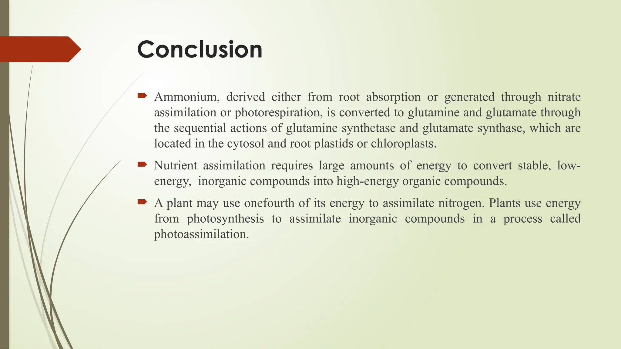 Nitrogen Assimilation in Environment for Plant | PPTX