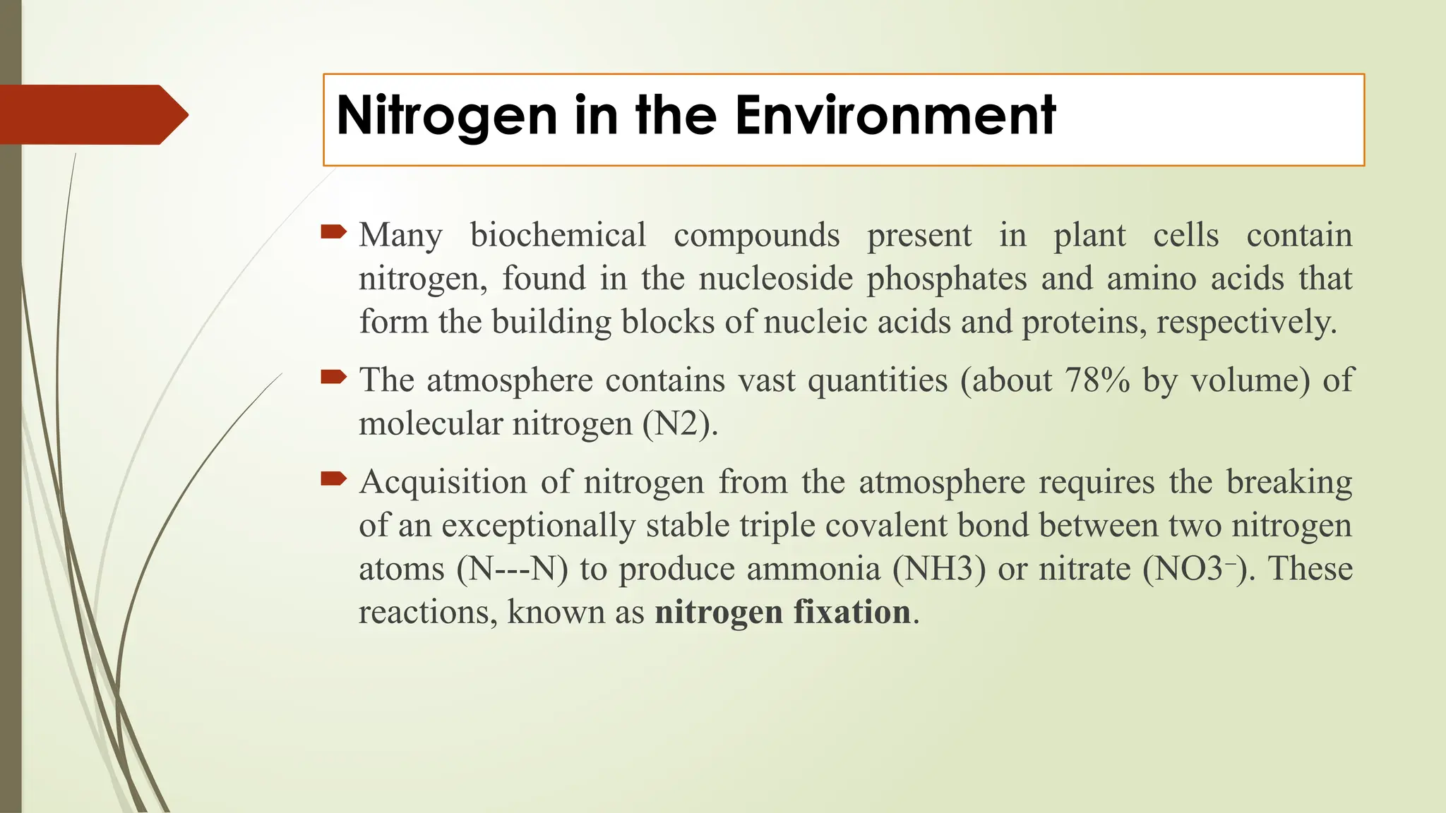 Nitrogen Assimilation in Environment for Plant | PPTX