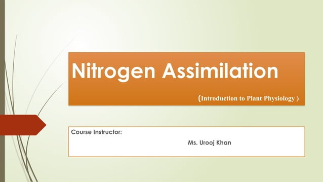 Nitrogen Assimilation in Environment for Plant | PPTX