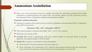 Nitrogen Assimilation in Environment for Plant | PPTX