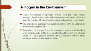 Nitrogen Assimilation in Environment for Plant | PPTX