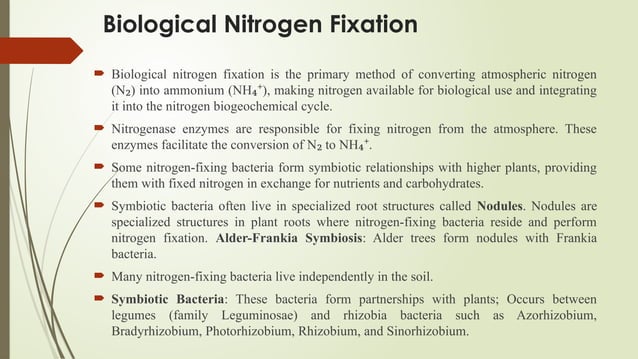 Nitrogen Assimilation in Environment for Plant | PPTX