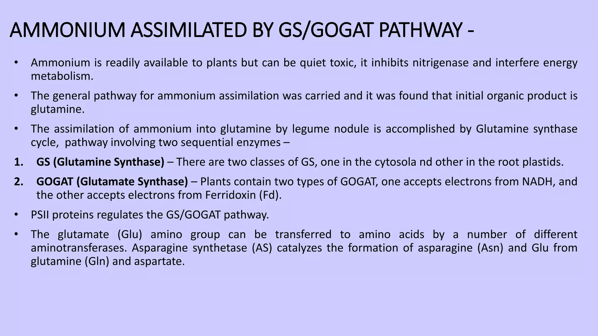 Nitrogen assimilation in plants | PPTX