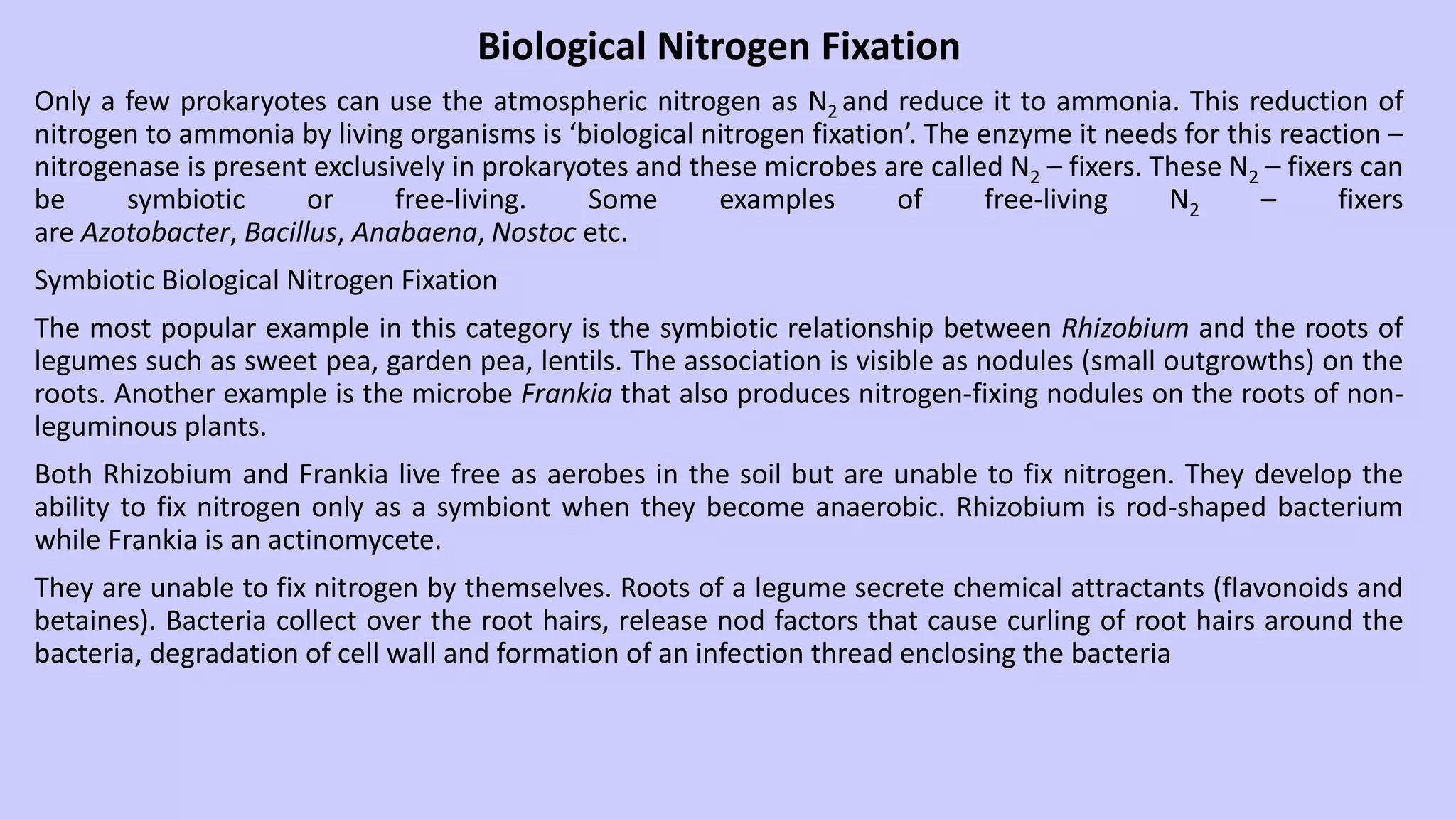 Nitrogen assimilation in plants | PPTX