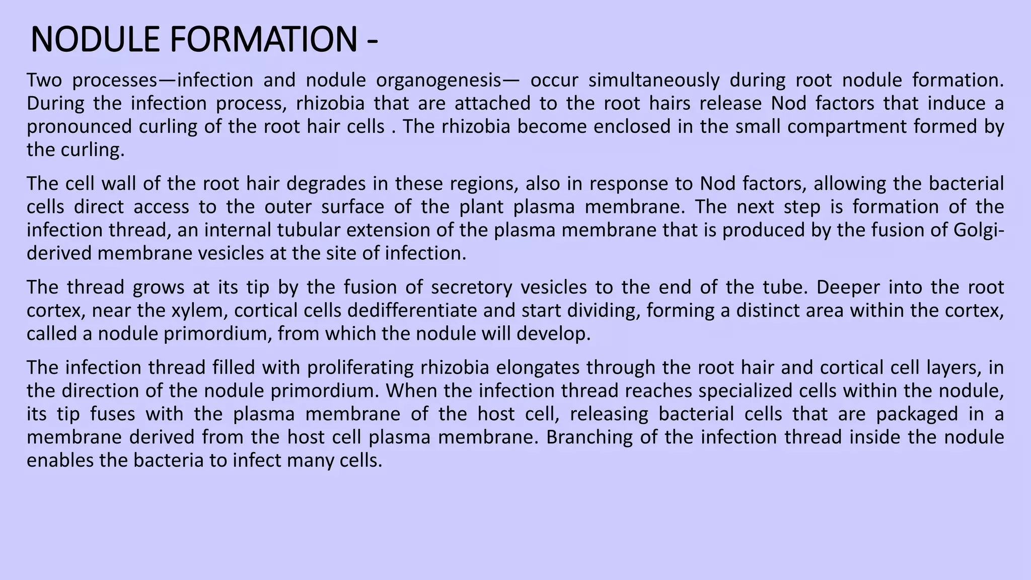 Nitrogen assimilation in plants | PPTX