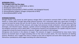 Nitrogen assimilation in plants | PPTX
