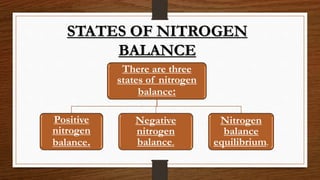 Nitrogen balance ppt | PPTX
