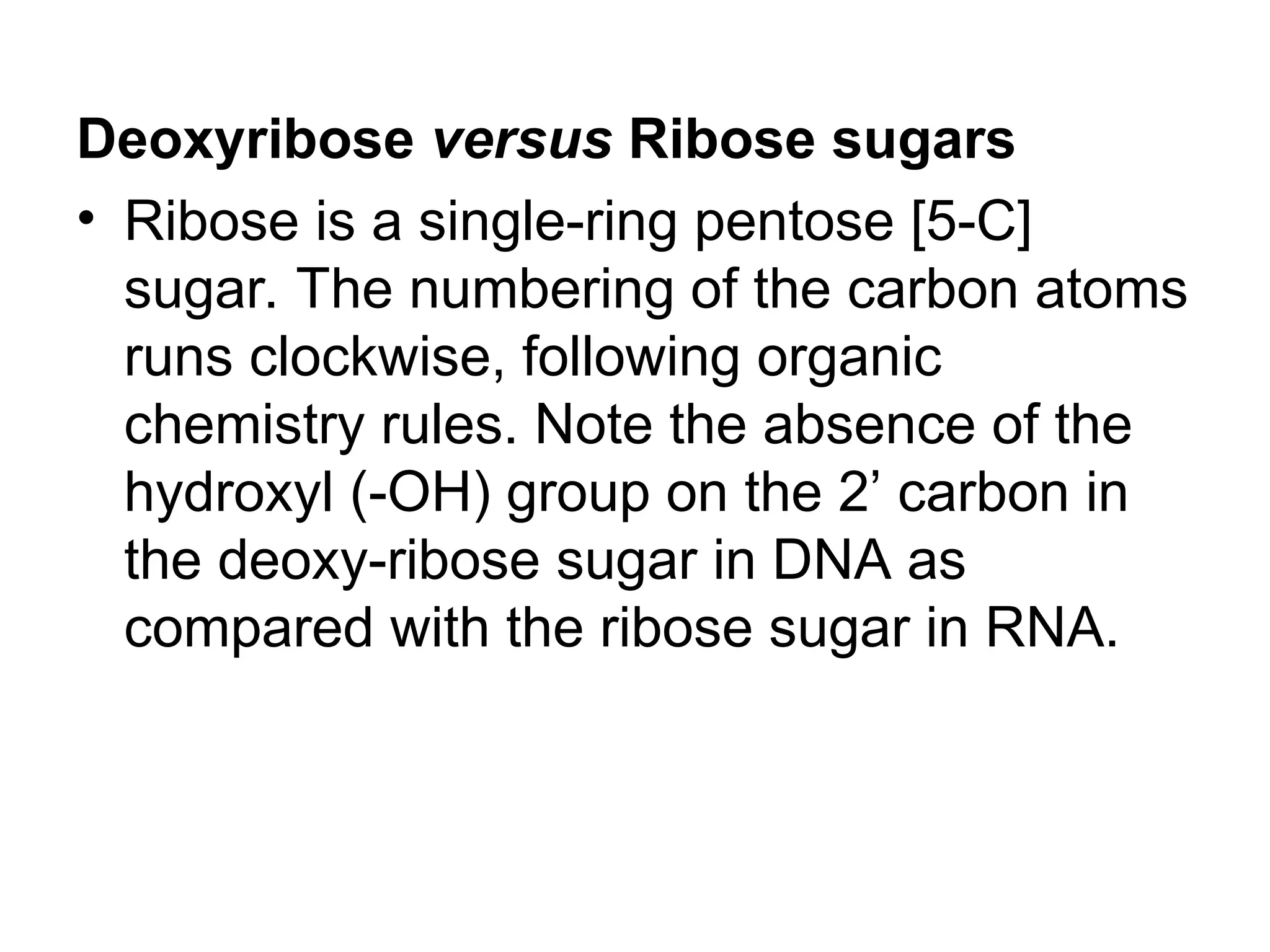 Nitrogenous bases and genetic code. types | PPT