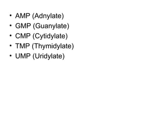 Nitrogenous bases and genetic code. types | PPT