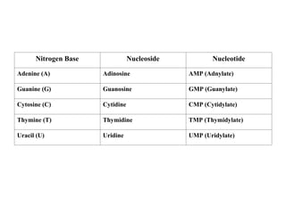 Nitrogenous bases and genetic code. types | PPT