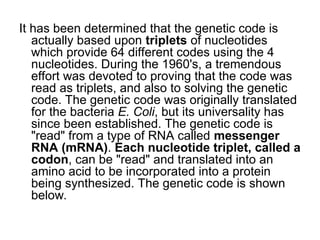 Nitrogenous bases and genetic code. types | PPT