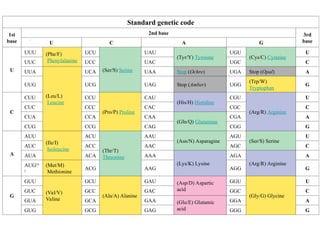 Nitrogenous bases and genetic code. types | PPT