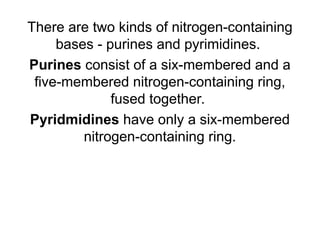 Nitrogenous bases and genetic code. types | PPT