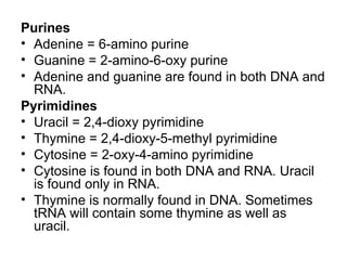 Nitrogenous bases and genetic code. types | PPT
