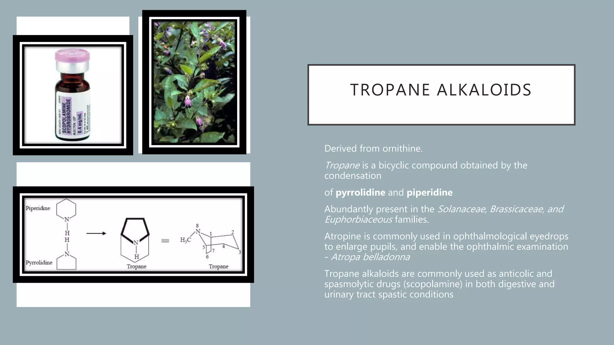 Nitrogen containing compounds alkaloids | PPTX