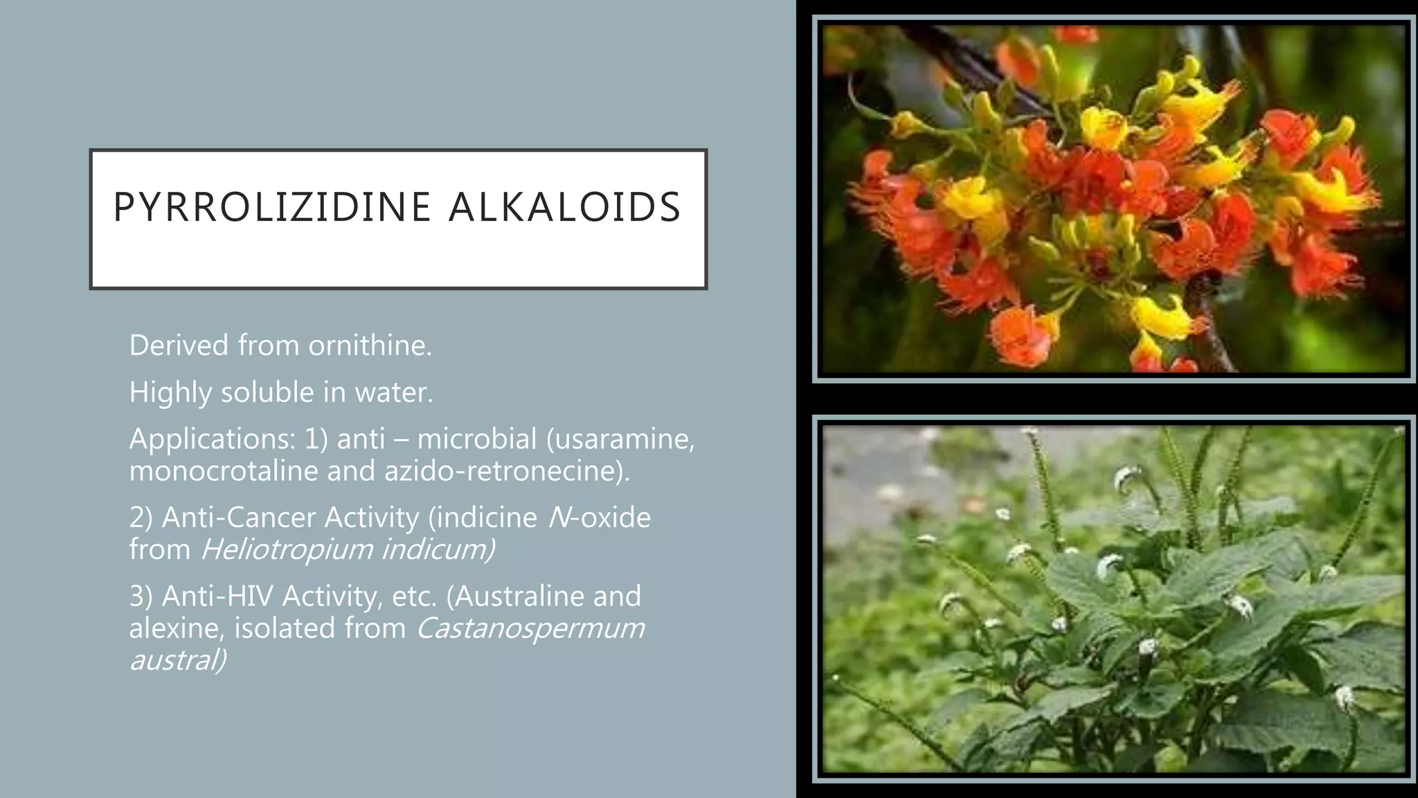 Nitrogen containing compounds alkaloids | PPTX