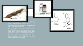 Nitrogen containing compounds alkaloids | PPTX