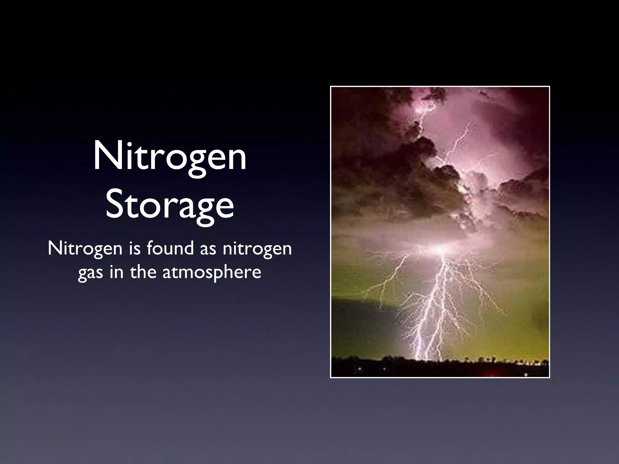 Nitrogen cycle | PPT