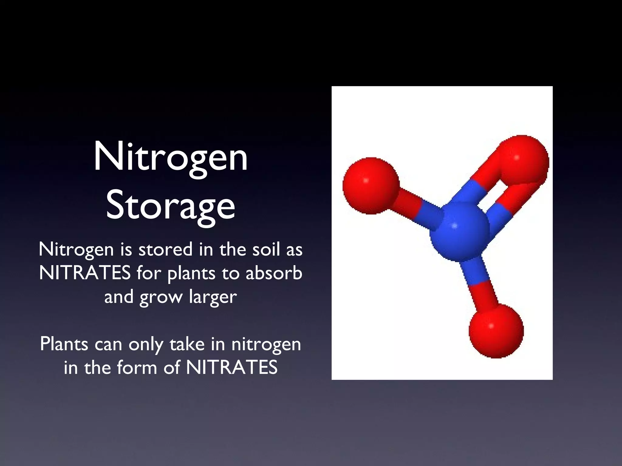 Nitrogen cycle | PPT