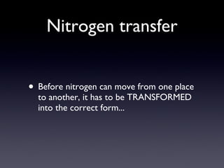 Nitrogen cycle | PPT