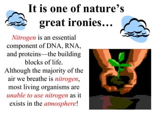 Nitrogen cycle | PPTX
