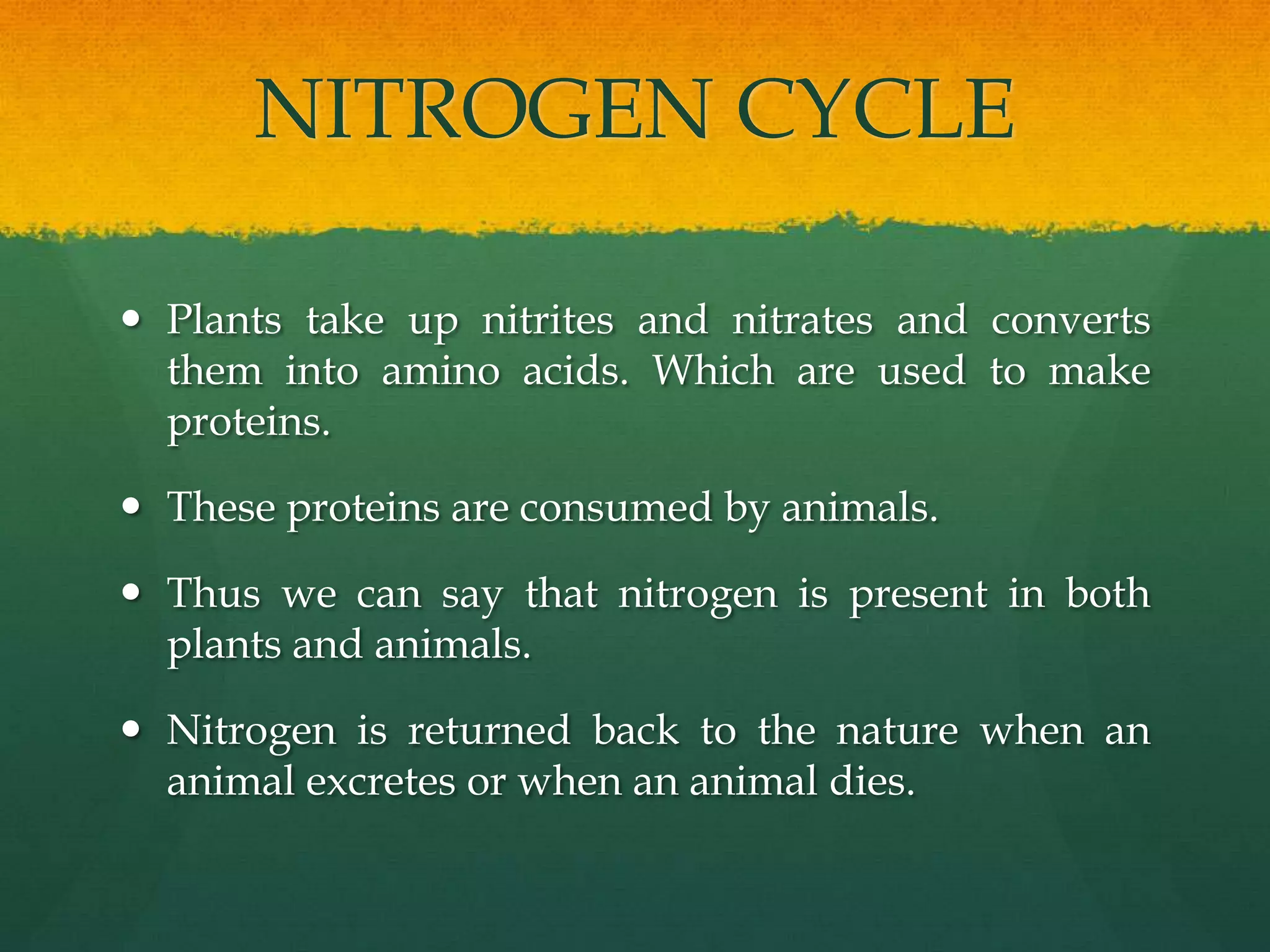 Nitrogen cycle | PPTX