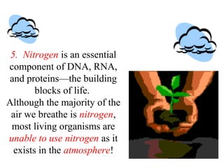 Nitrogen cycle - Honors only 2.04