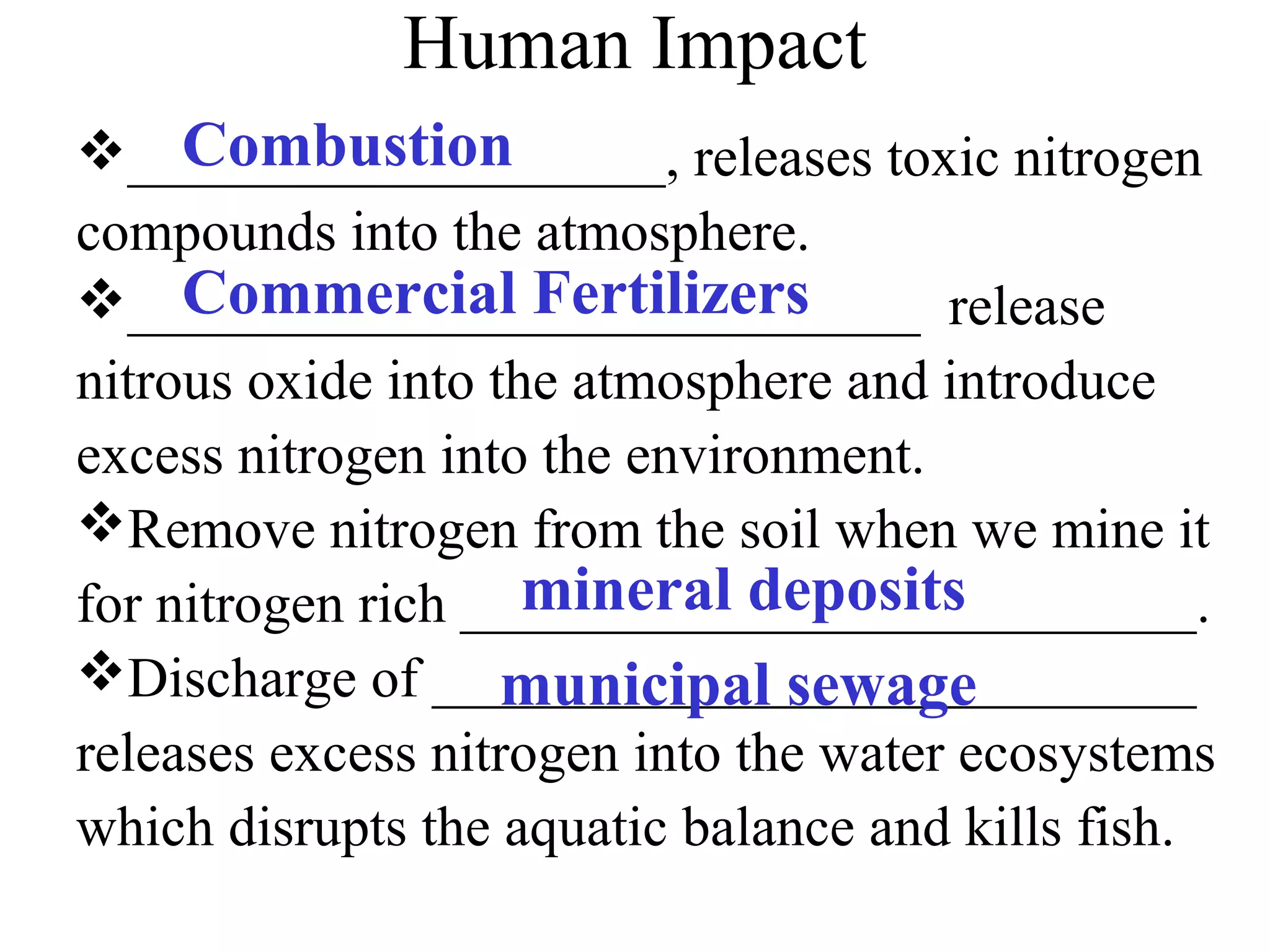 Nitrogen cycle | PPT