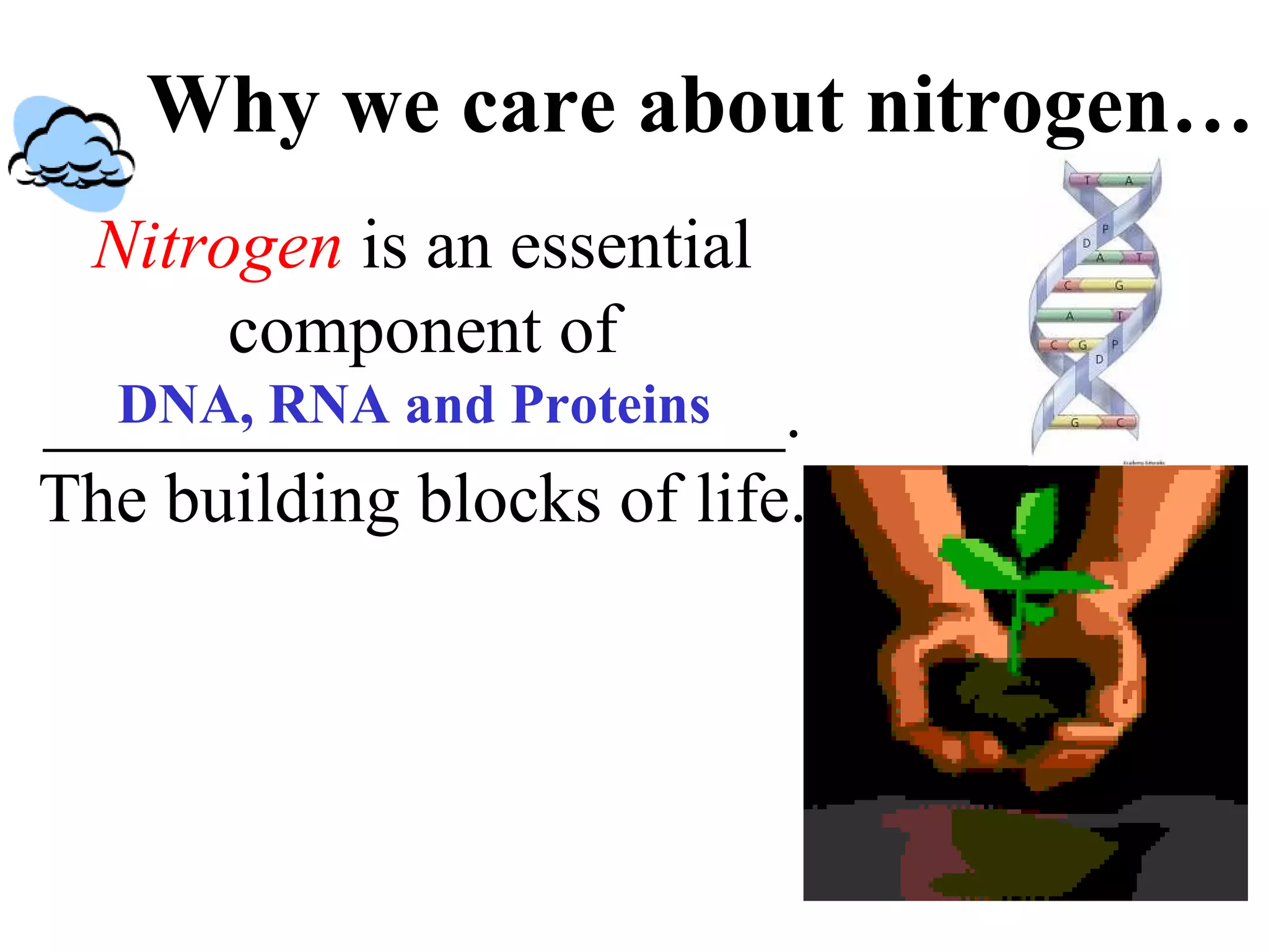 Nitrogen cycle | PPT