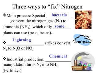 Nitrogen cycle | PPT