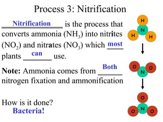 Nitrogen cycle | PPT
