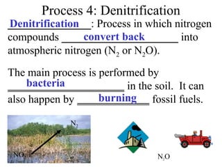 Nitrogen cycle | PPT