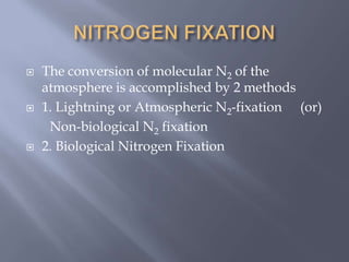 Nitrogen cycle | PPT