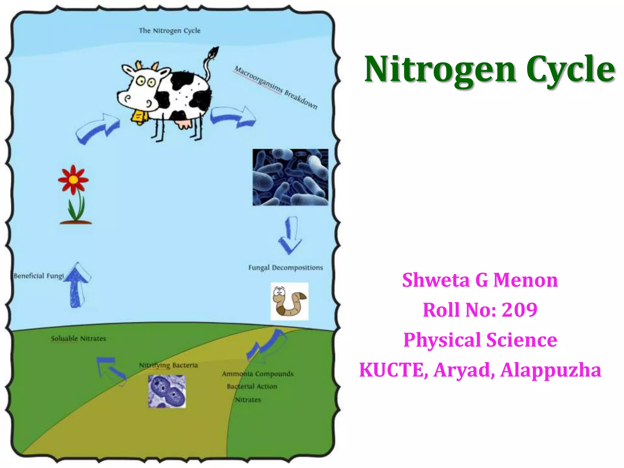 Nitrogen cycle | PPT