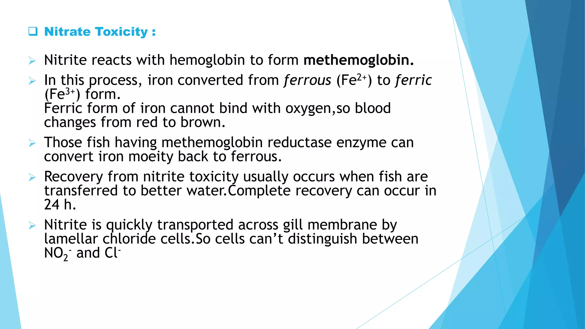 Nitrogen cycle in aquatic ecosystem ...