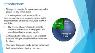 Nitrogen cycle in aquatic ecosystem ...