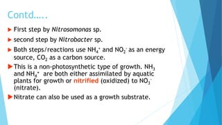 Nitrogen cycle in aquatic ecosystem ...