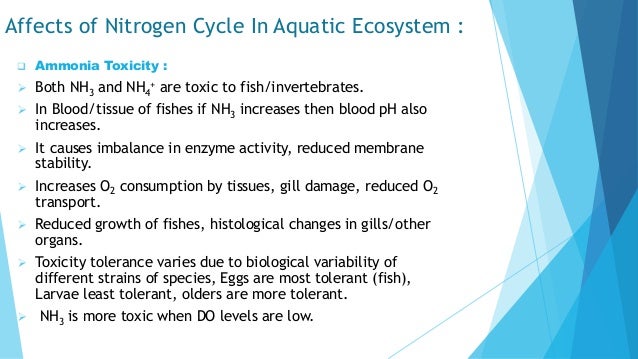 Nitrogen Cycle In Aquatic Ecosystem