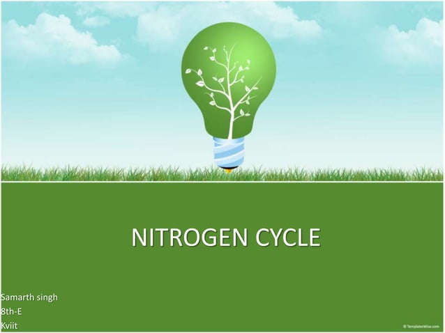 Nitrogen cycle | PPT