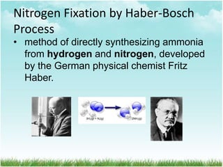 Nitrogen cycle | PPTX