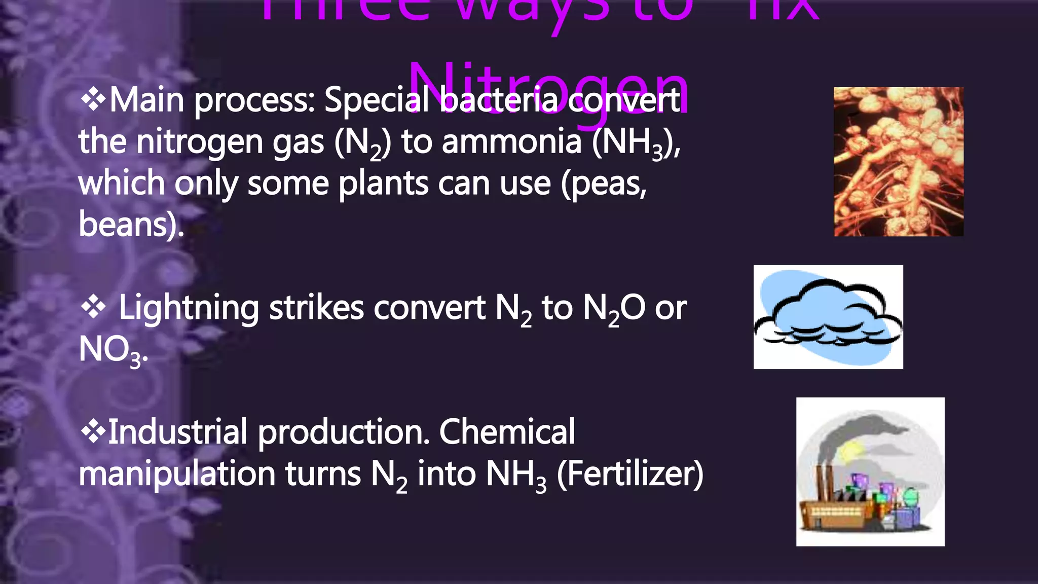 Nitrogen cycle | PPTX