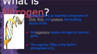Nitrogen cycle | PPTX