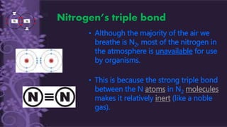 Nitrogen cycle | PPTX
