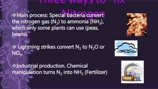 Nitrogen cycle | PPTX